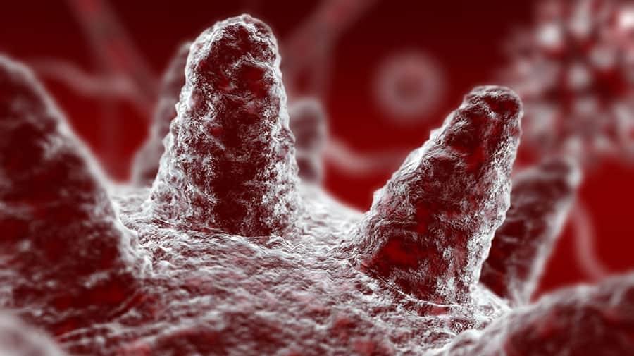 Cleanroom Microbiology 101: Identifying & Controlling Sources of ...
